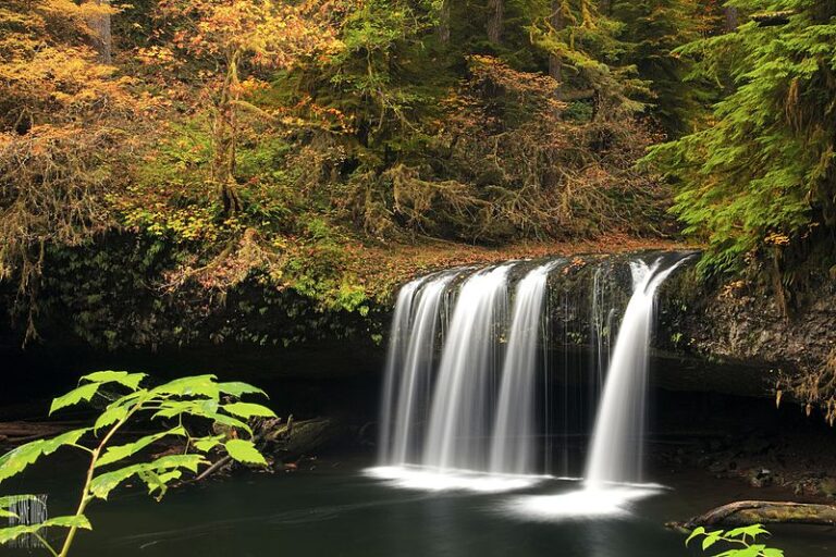 Ultimate Guide to Butte Creek Falls - What to Know!