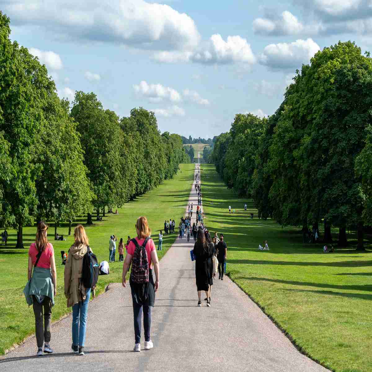 Windsor nature park: a complete guide to Singapore’s wild side - The ...