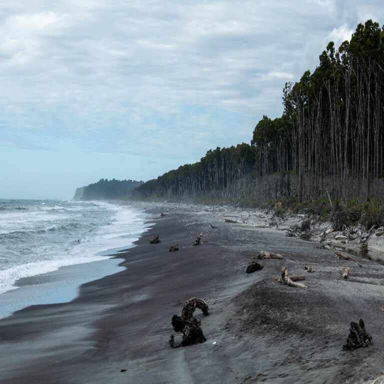 90 mile beach travel guide: everything you need to know - The ...